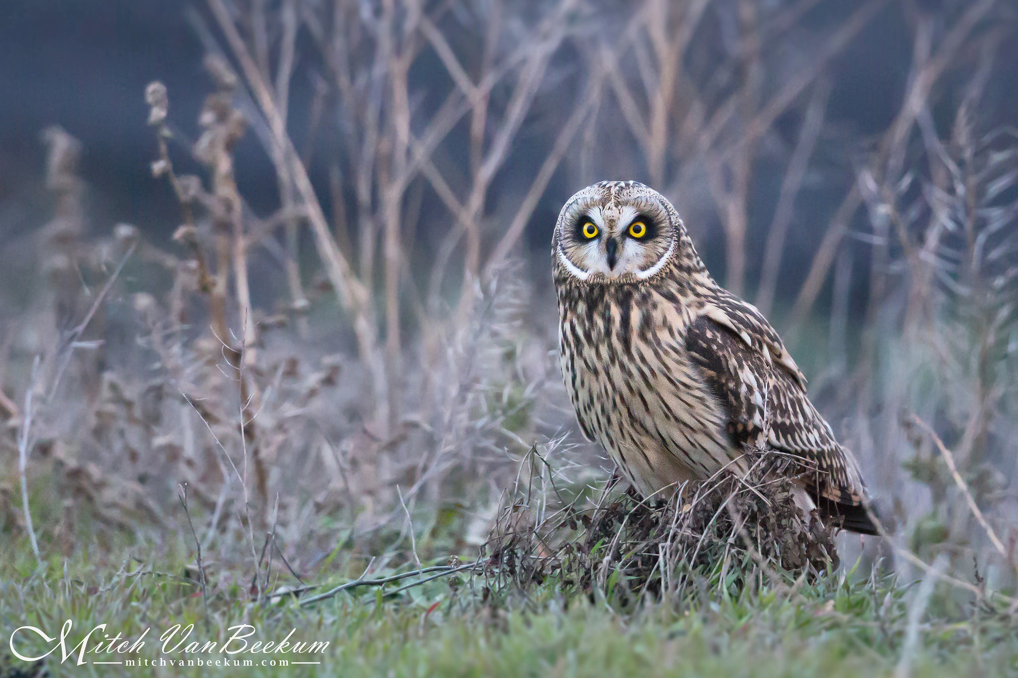 Understanding the dynamic range in photography - Claude Gauthier
