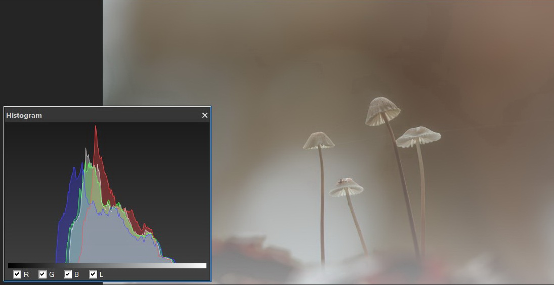 Comprendre la plage dynamique d'une photographie - Claude Gauthier